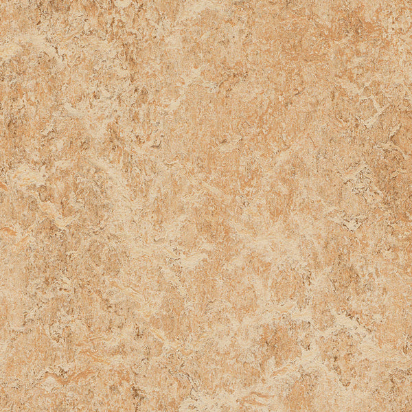 SAMPLE - Forbo Marmoleum Composition Sheet (MCS), Shell - Green ...