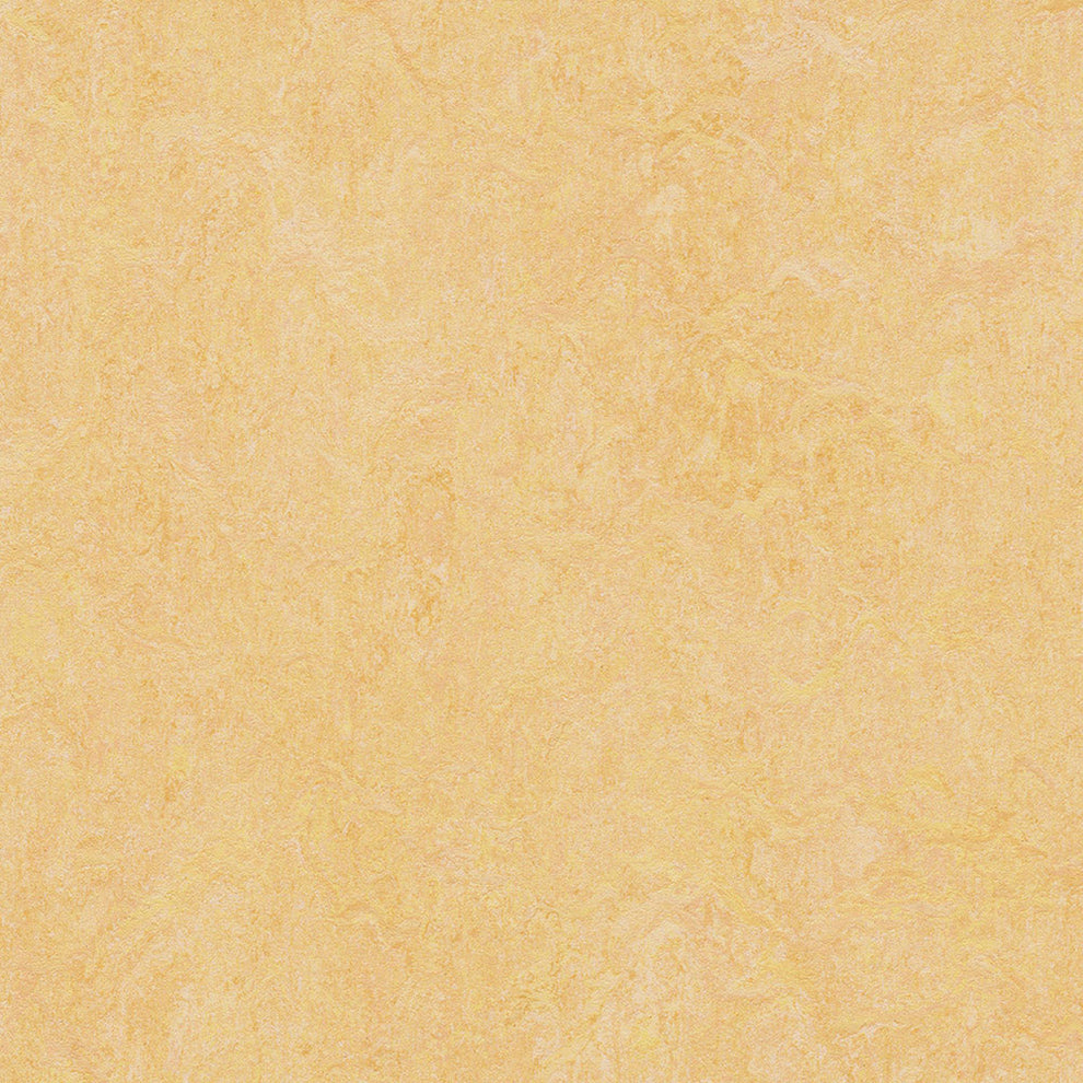 SAMPLE - Forbo Marmoleum Composition Sheet (MCS), Natural Corn - Green ...