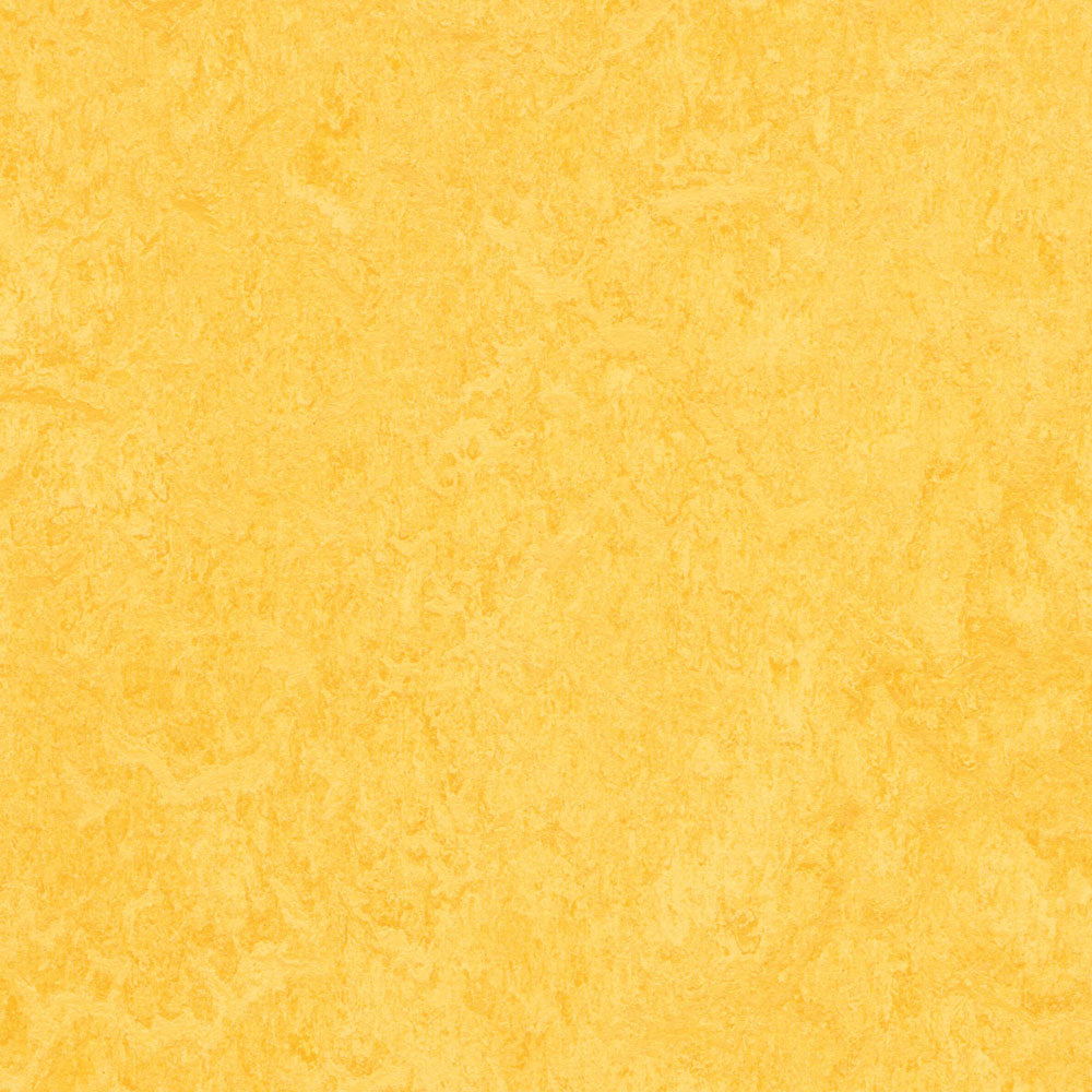 SAMPLE - Forbo Marmoleum Composition Tile (MCT), Lemon Zest - Green ...