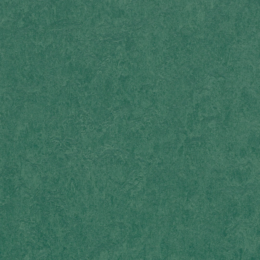 SAMPLE - Forbo Marmoleum Click Cinch Loc Seal, Hunter Green - Green ...
