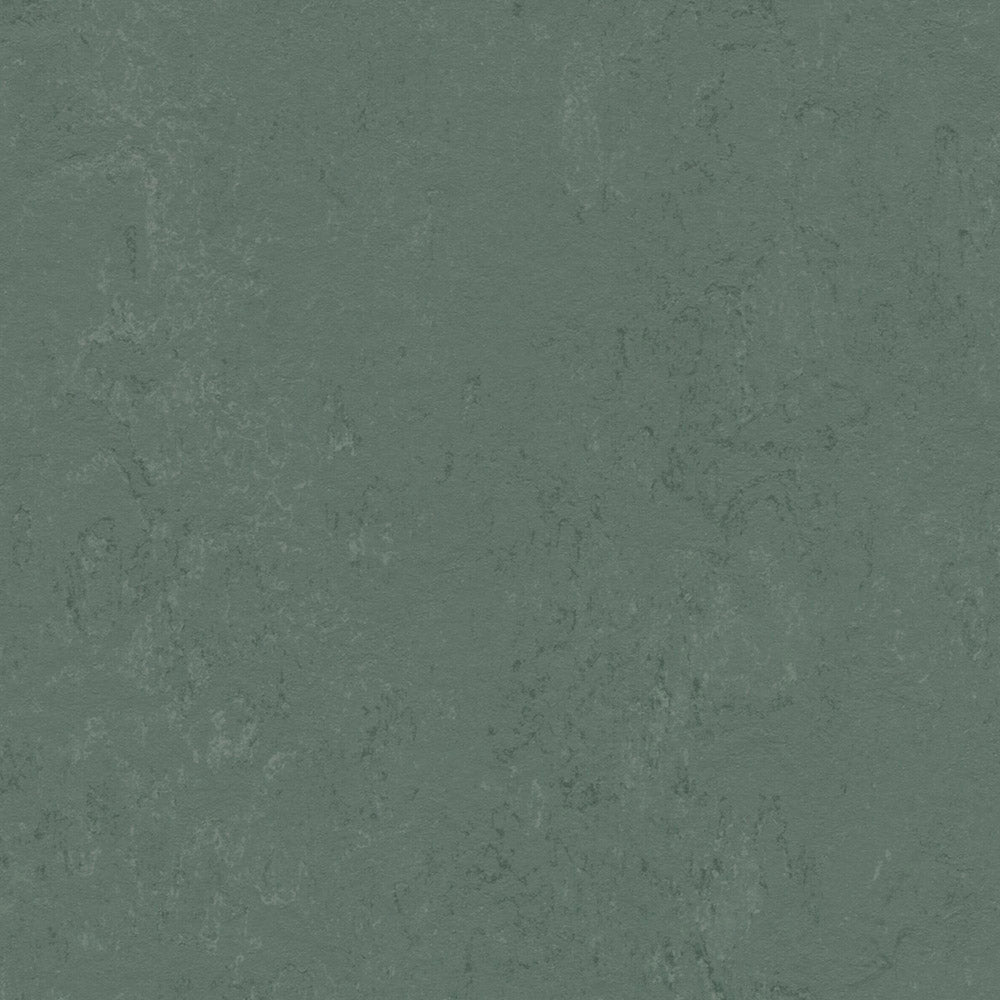 SAMPLE - Forbo Marmoleum Concrete - Sheet, Taiga - Green Building Supply