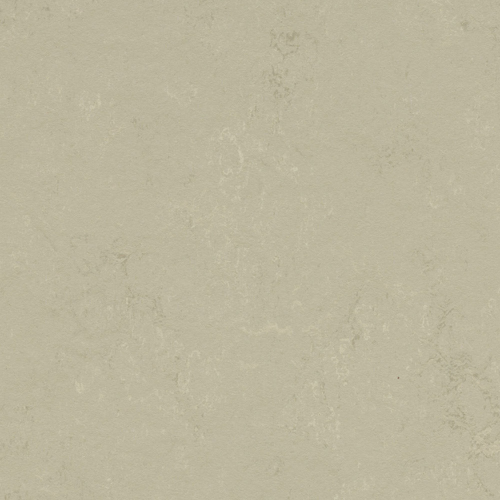 SAMPLE - Forbo Marmoleum Concrete - Sheet, Shale – Green Building Supply