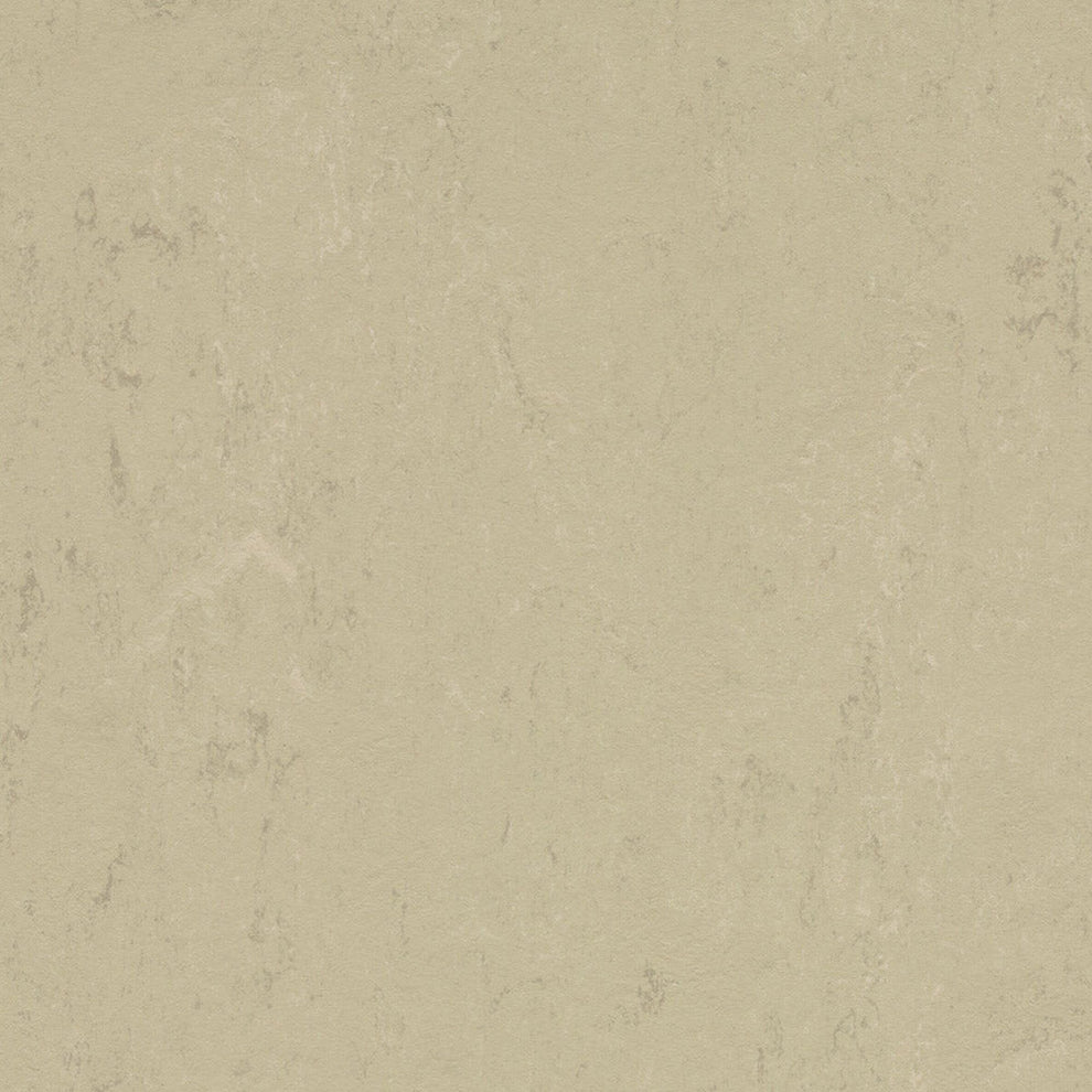 SAMPLE - Forbo Marmoleum Concrete - Sheet, Titan - Green Building Supply