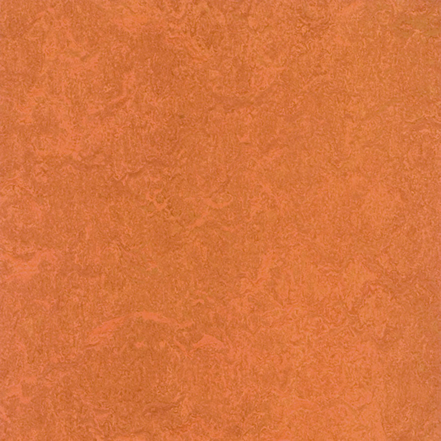 SAMPLE - Forbo Marmoleum Fresco - Sheet, African Desert – Green ...