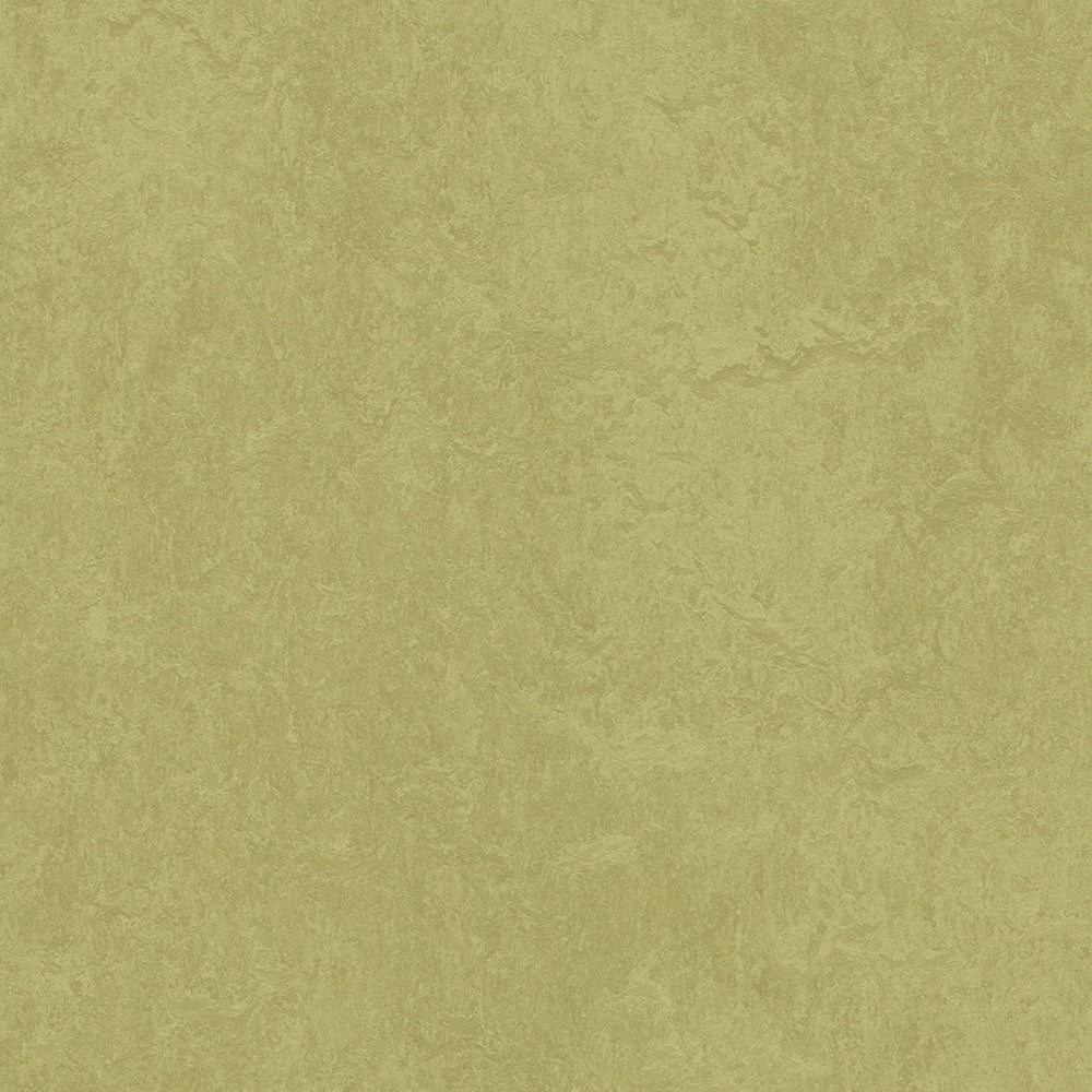 SAMPLE - Forbo Marmoleum Fresco - Sheet, Avocado - Green Building Supply