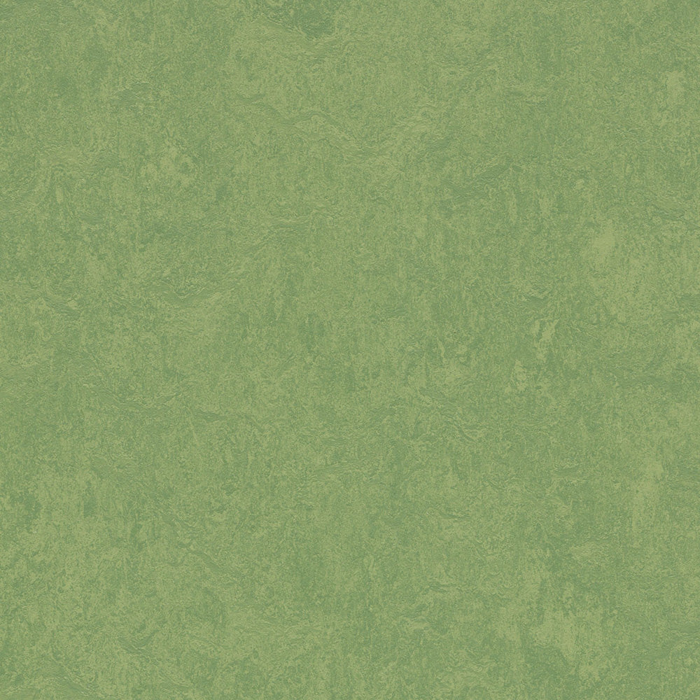 SAMPLE - Forbo Marmoleum Fresco - Sheet, Leaf - Green Building Supply