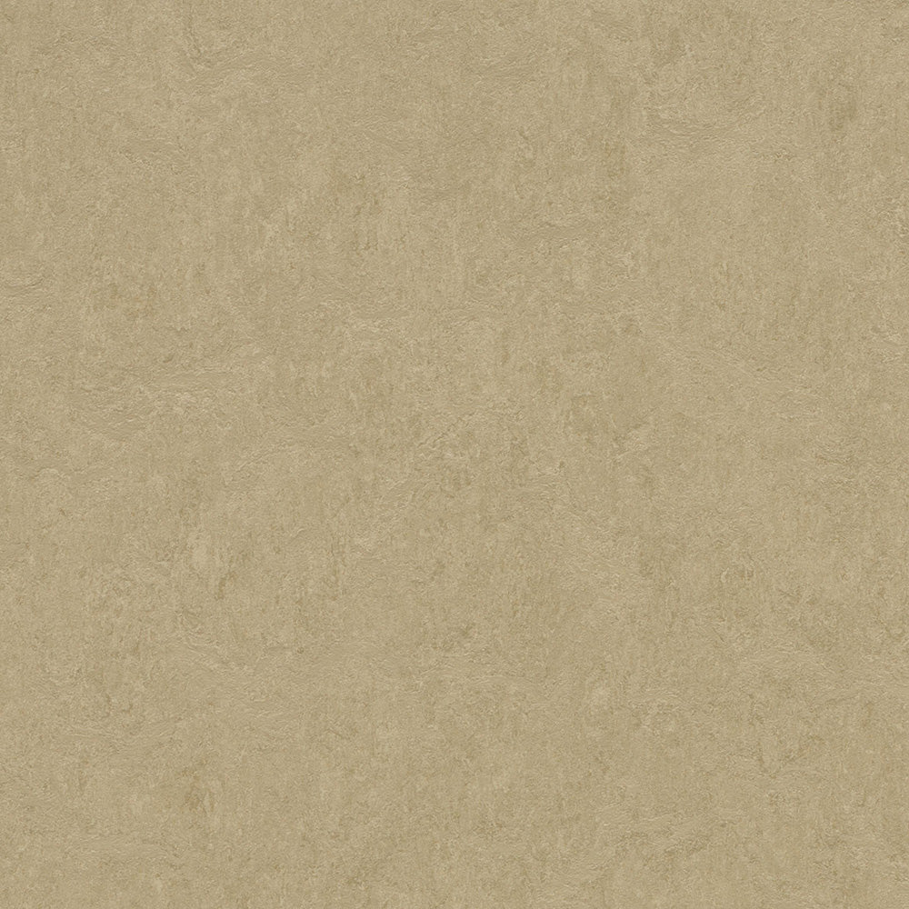 SAMPLE - Forbo Marmoleum Fresco - Sheet, Oat - Green Building Supply