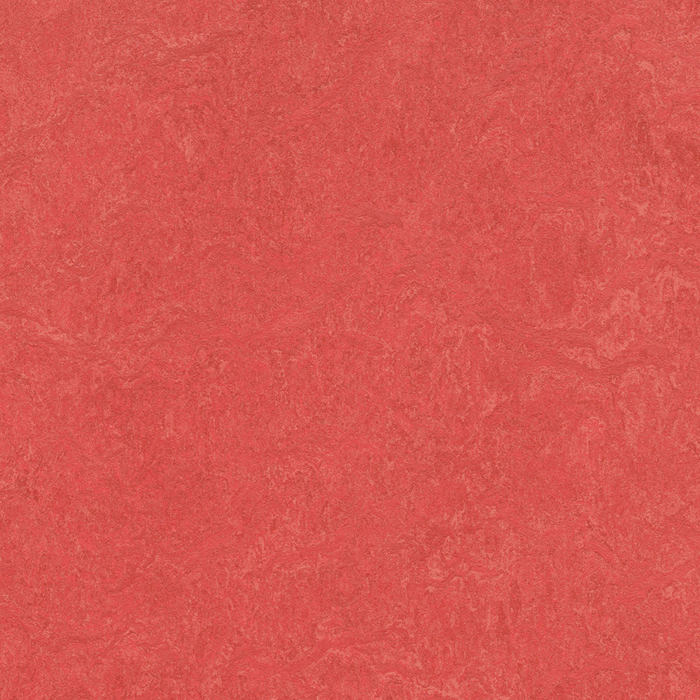 SAMPLE - Forbo Marmoleum Fresco - Sheet, Rose - Green Building Supply