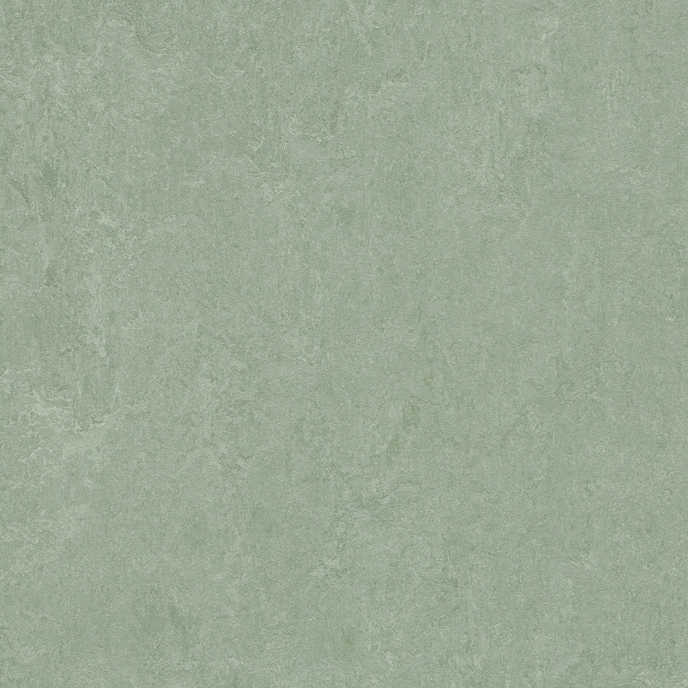SAMPLE - Forbo Marmoleum Fresco - Sheet, Sage - Green Building Supply