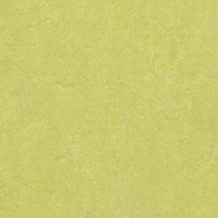 Forbo Marmoleum Fresco, Silver Shadow - 3860, 2.5mm – Green Building Supply