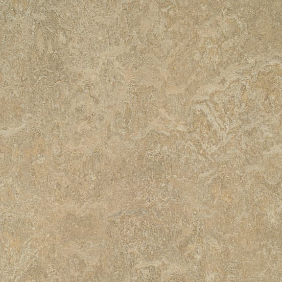 SAMPLE - Forbo Marmoleum Modular - Glue Down Tile, Forest Ground ...