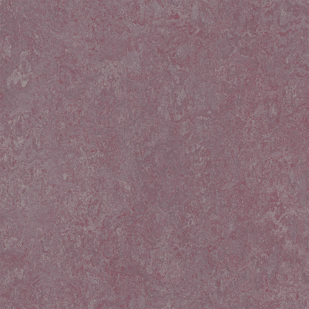 SAMPLE - Forbo Marmoleum Real - Sheet, Plum - Green Building Supply