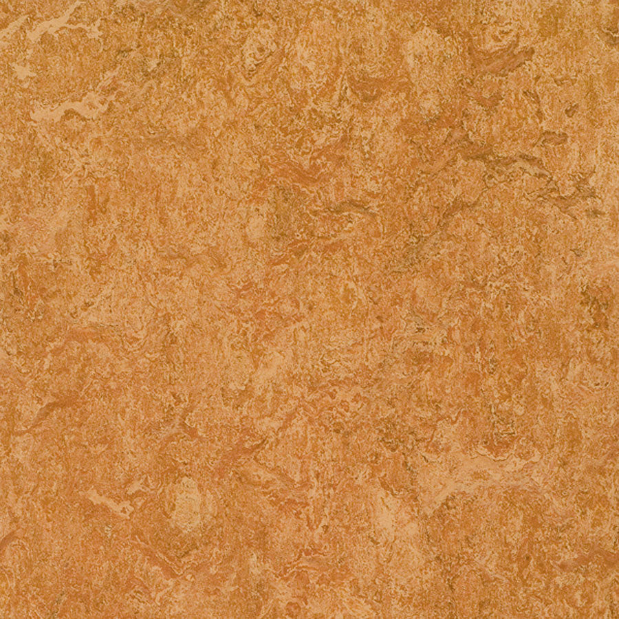 SAMPLE - Forbo Marmoleum Real - Sheet, Sahara - Green Building Supply