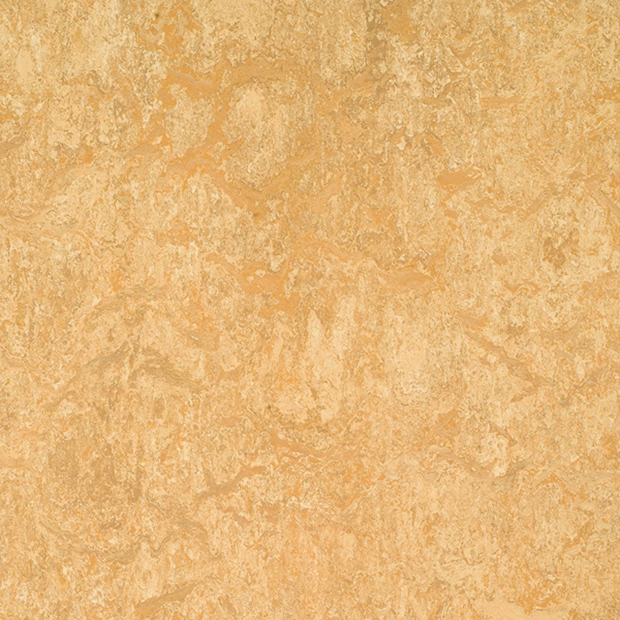 SAMPLE - Forbo Marmoleum Real - Sheet, Van Gogh - Green Building Supply