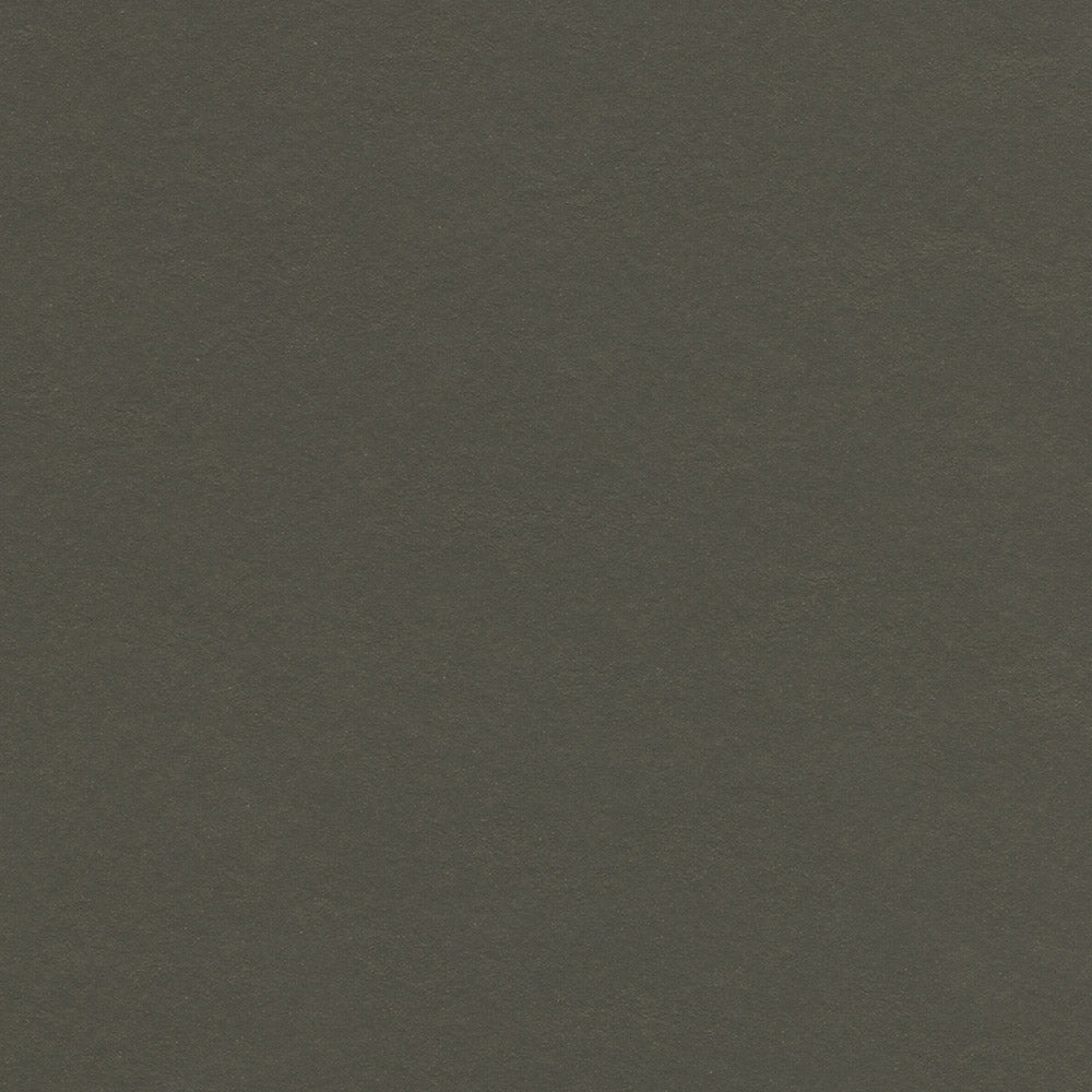 SAMPLE - Forbo Marmoleum Walton Cirrus - Sheet, Peat - Green Building ...