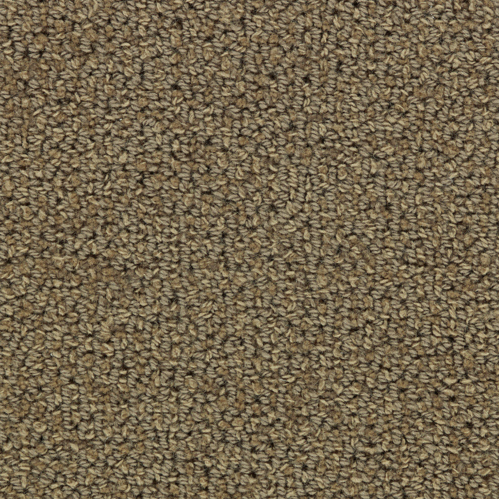 SAMPLE - Wool Carpet by J Mish, Charade, Nutmeg – Green Building Supply