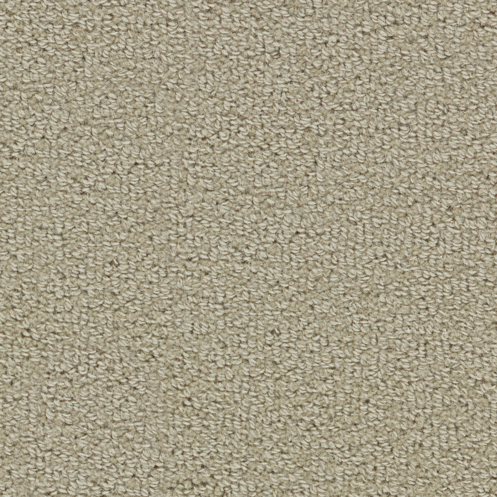 SAMPLE - Wool Carpet by J Mish, Wool Tip Shear II, Homespun - Green Building Supply
