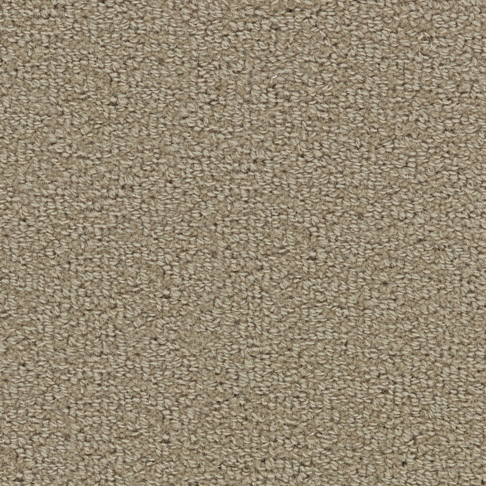 SAMPLE - Wool Carpet by J Mish, Wool Tip Shear II, Raw Sugar - Green Building Supply