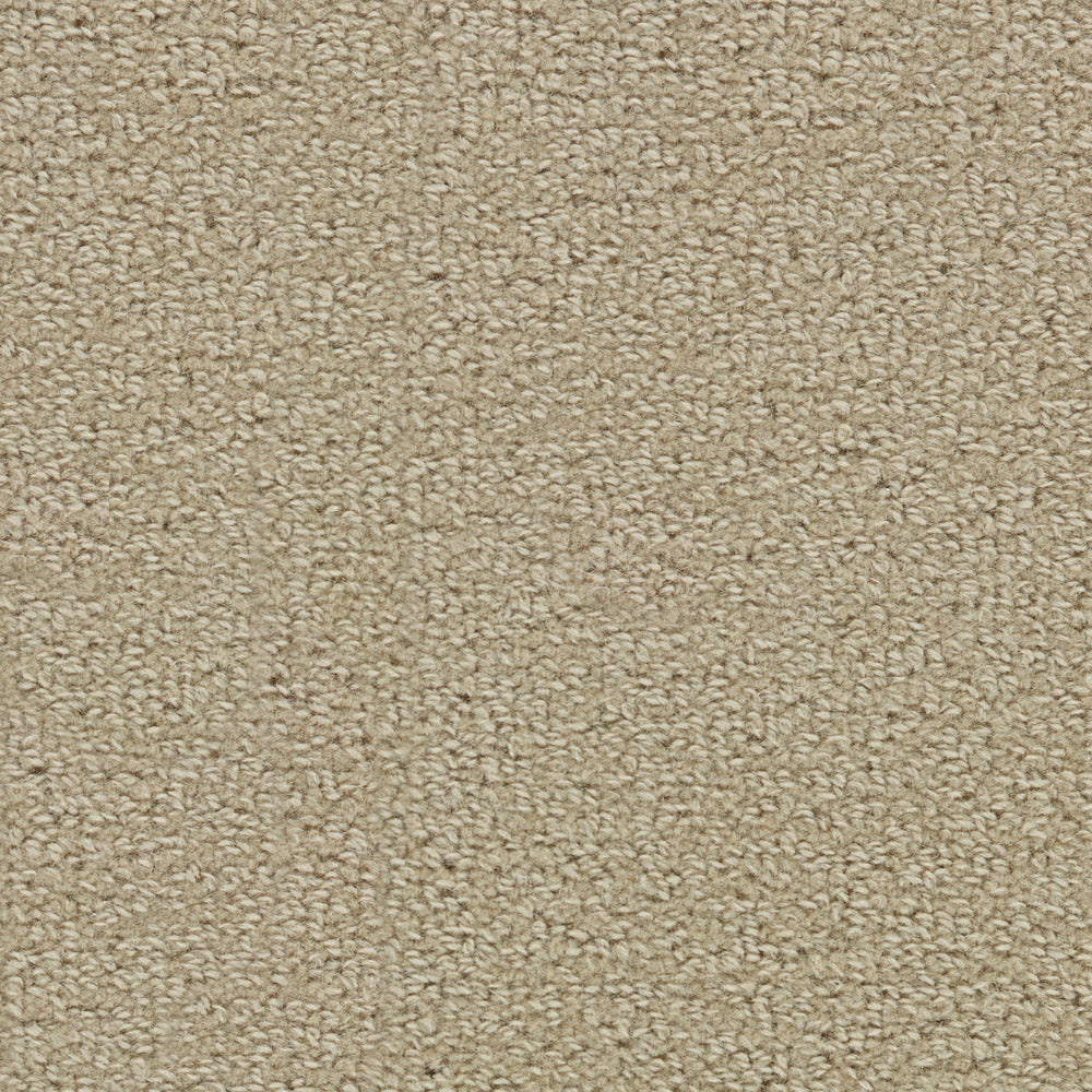 SAMPLE - Wool Carpet by J Mish, Wool Tip Shear II, Canvas – Green Building Supply