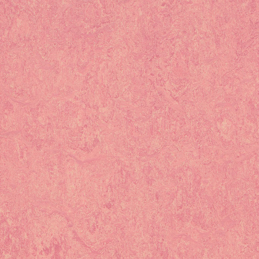 Marmoleum Click Flooring - Non-Toxic, Durable – Page 2 – Green Building ...