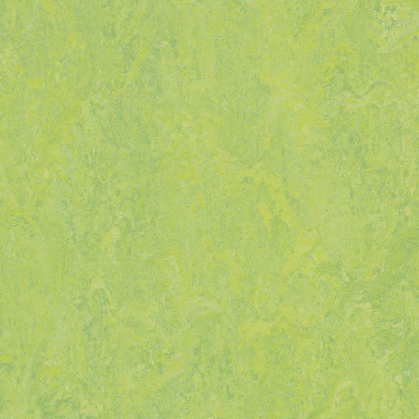 SAMPLE - Forbo Marmoleum Modular - Glue Down Tile, Refreshing Green ...